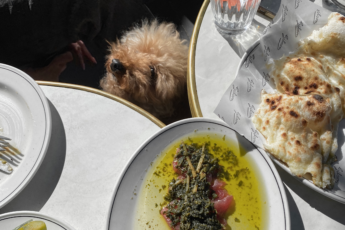 Melbourne's Dog Friendly Dining | Bourke St the Label