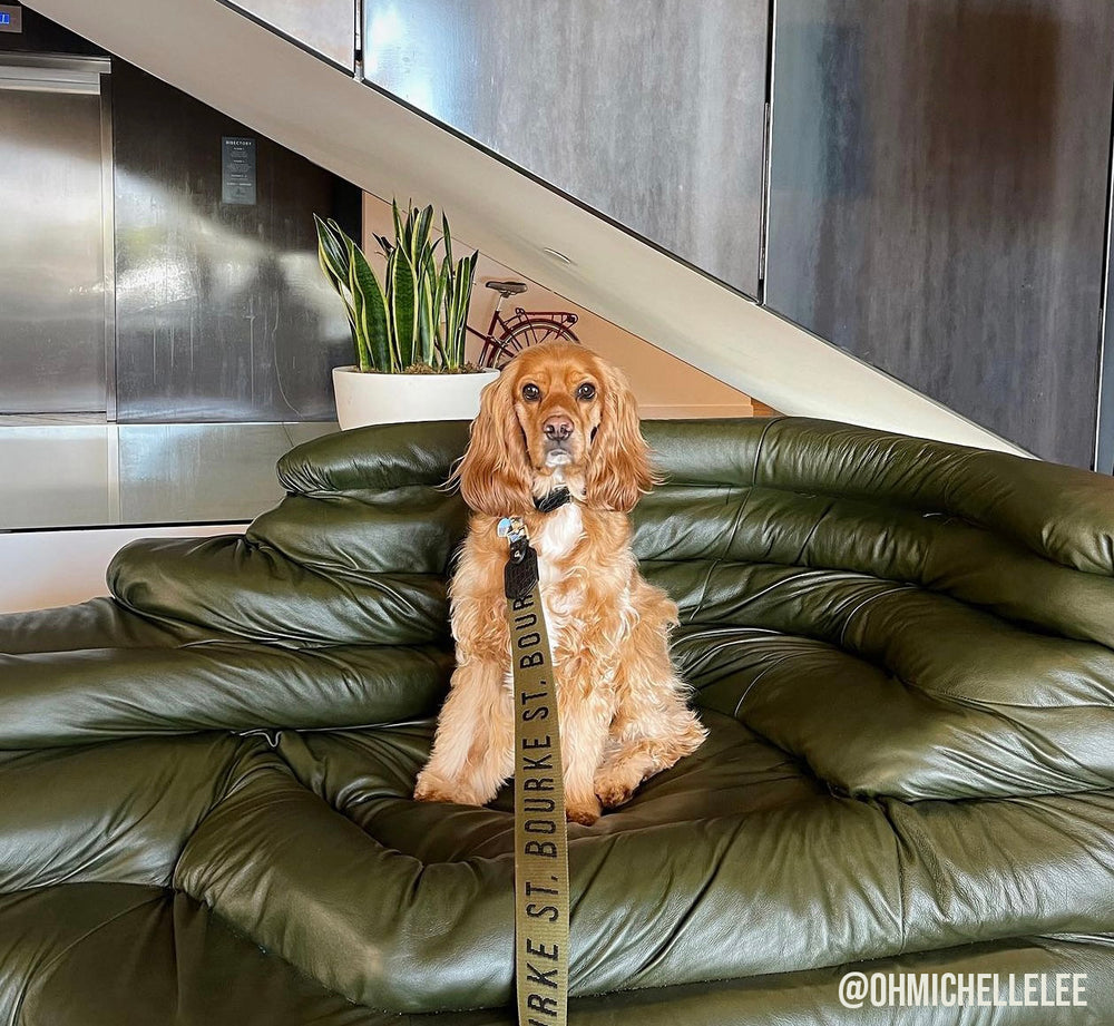 SHOP THE LOOK | Bourke St the Label